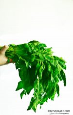 Chakotha soppu (Mountain Spinach Yogurt gravy) Majjigehuli ...